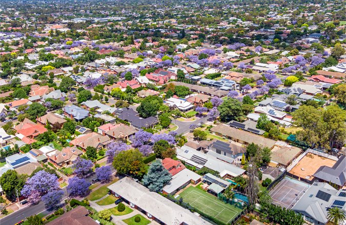 Spring auctions make strong November start