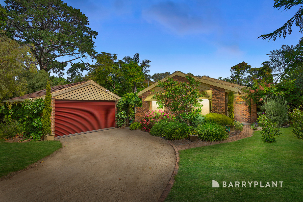 43 Nixon Street, Rosebud, VIC 3939 - Sold